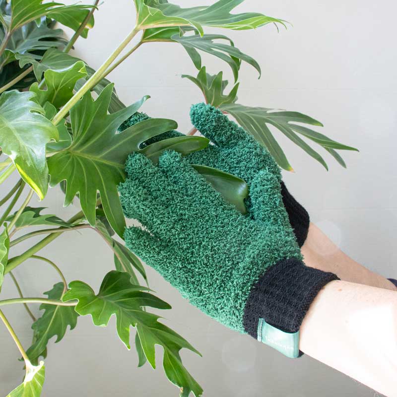 leaf-love-glove-botanopia-dusting-gloves-for-plants-thumbnail_1024x1024.jpg?v=1718017362