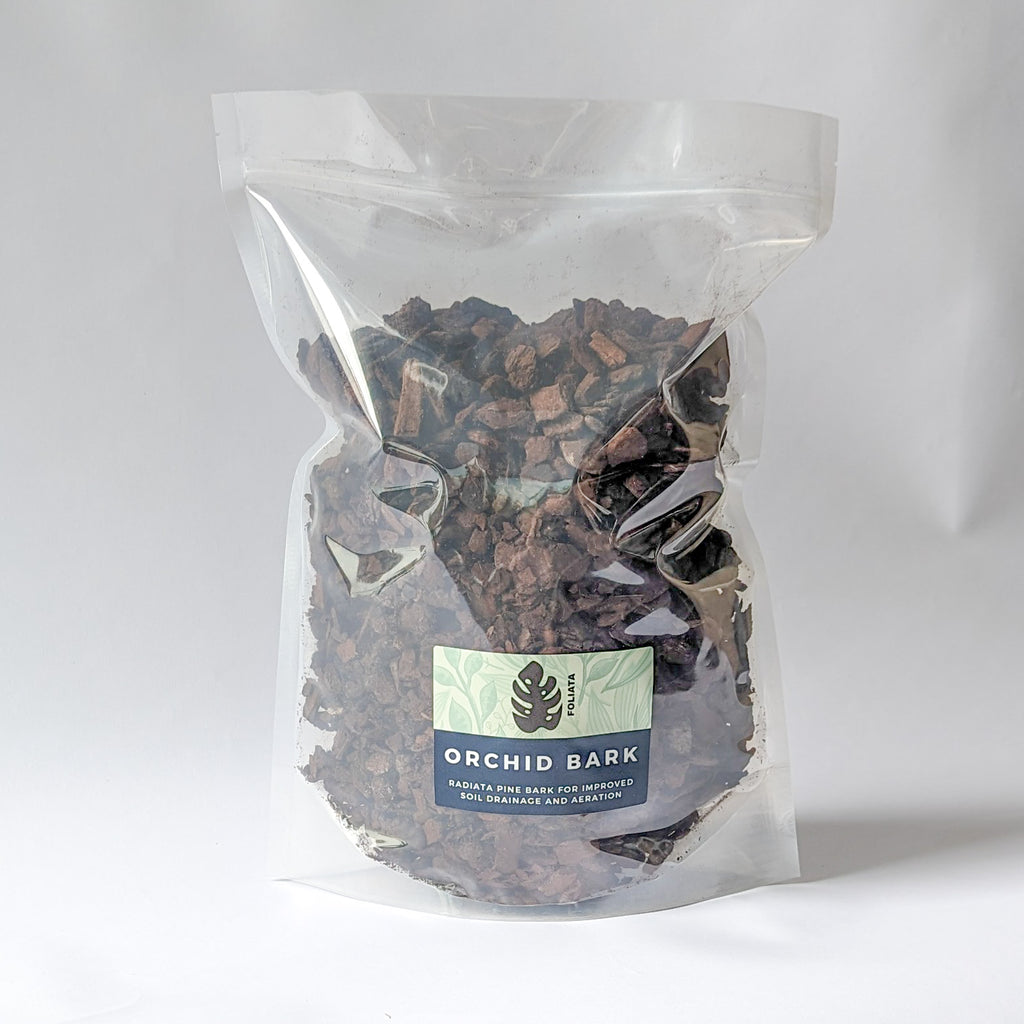 PXL-20240315_003206530_1024x1024.jpg?v=1710502763