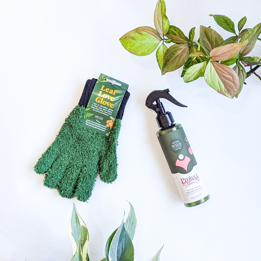 PXL-20250528_010756908_1024x1024.jpg?v=1748429238