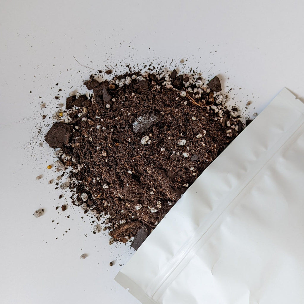 PXL_20220917_050417855_1_1024x1024.jpg?v=1669721067