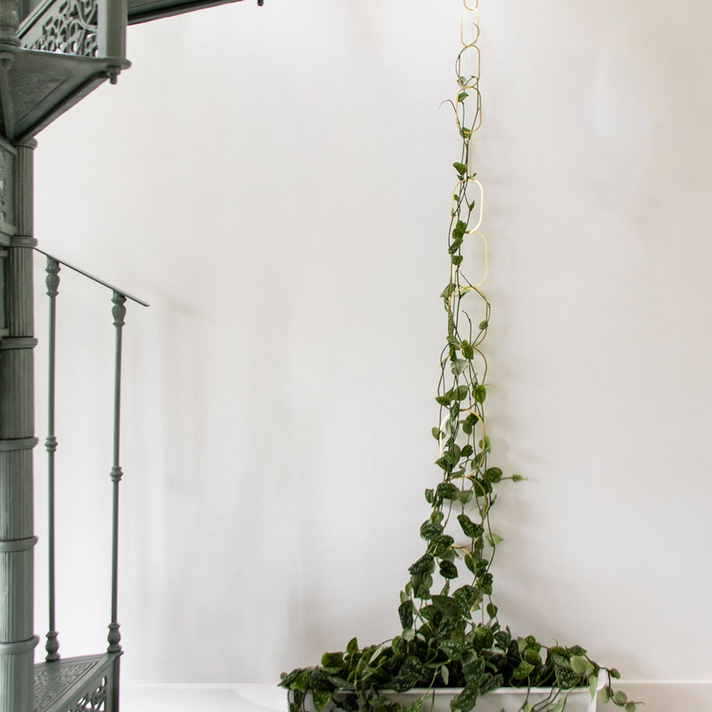 aasupport8_1024x1024.jpg?v=1630705755